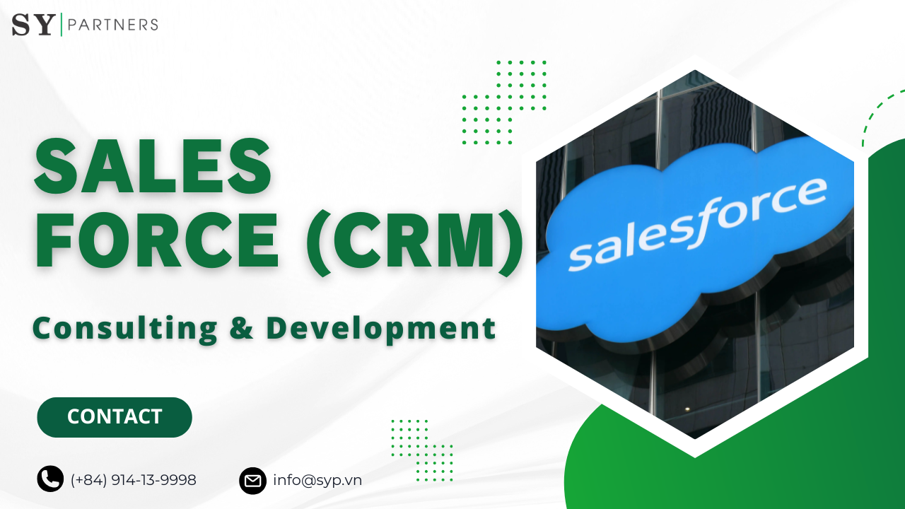 Salesforce Consulting & Development (CRM) | SY Partners
